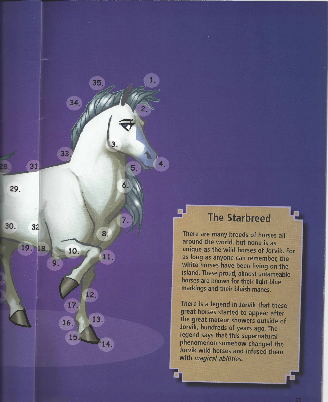 Star Stable Studies: Starshine Legacy Comics: Extras