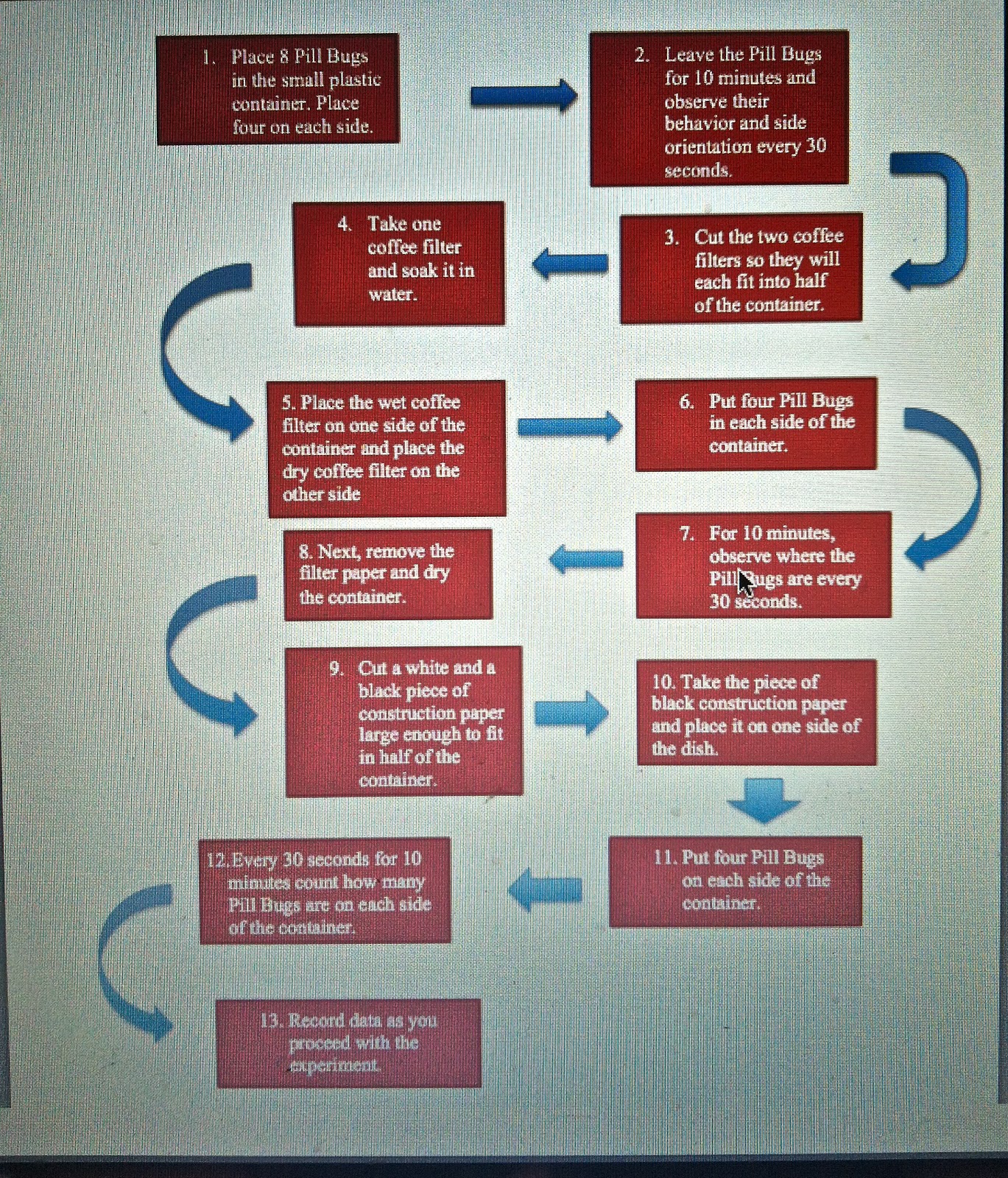 Animal Behavior Lab- Pill Bugs' Preferred Color and Moisture Conditions ...