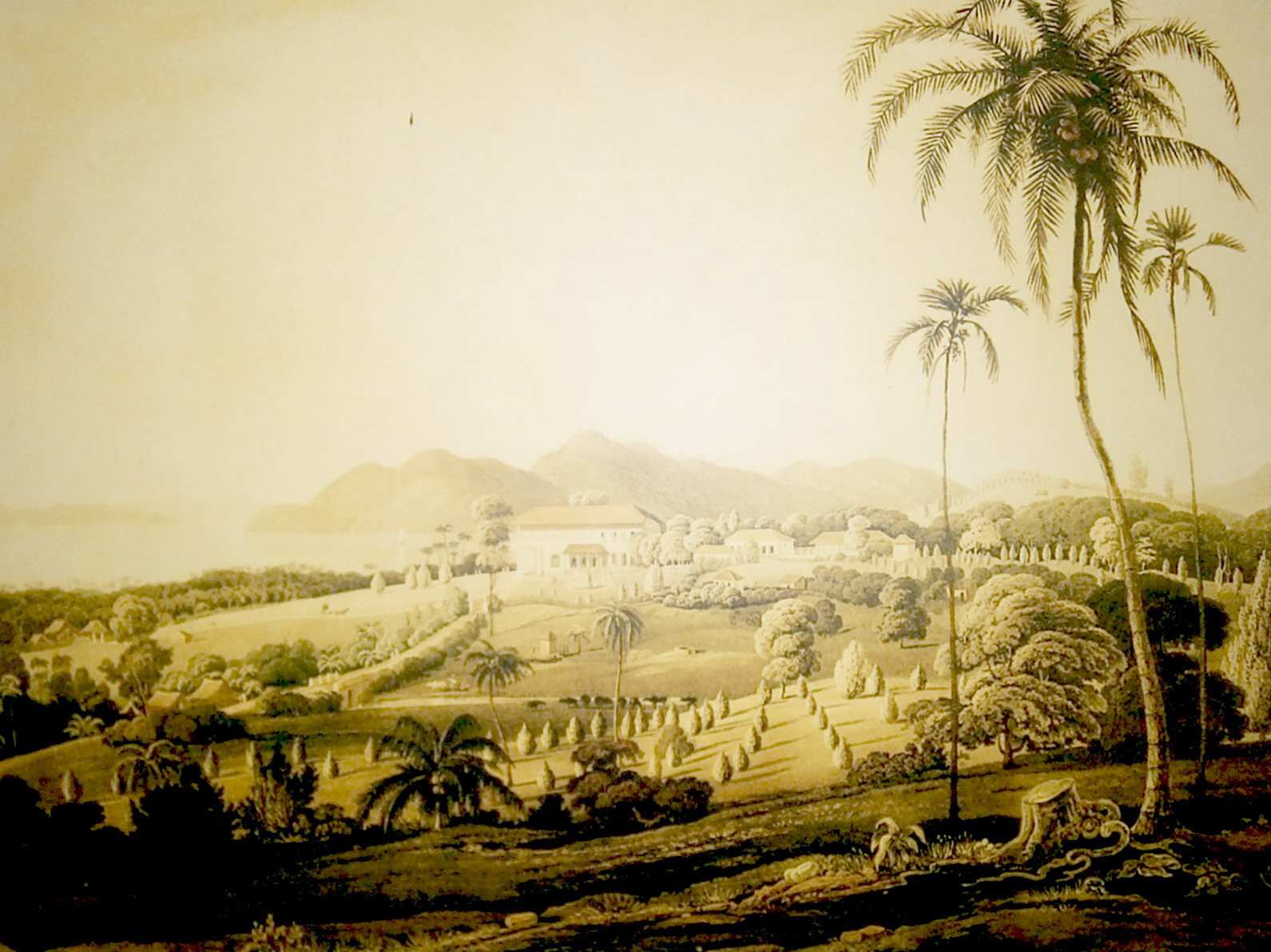 gegar: 324.0 Himpunan Foto-foto Penang klasik dan sekarang