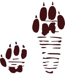 Cottage Country Pest Control: Animal Tracks