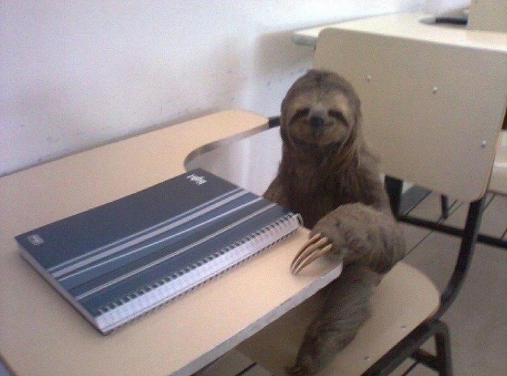 Fritz365: Sloppy Sloth Desk