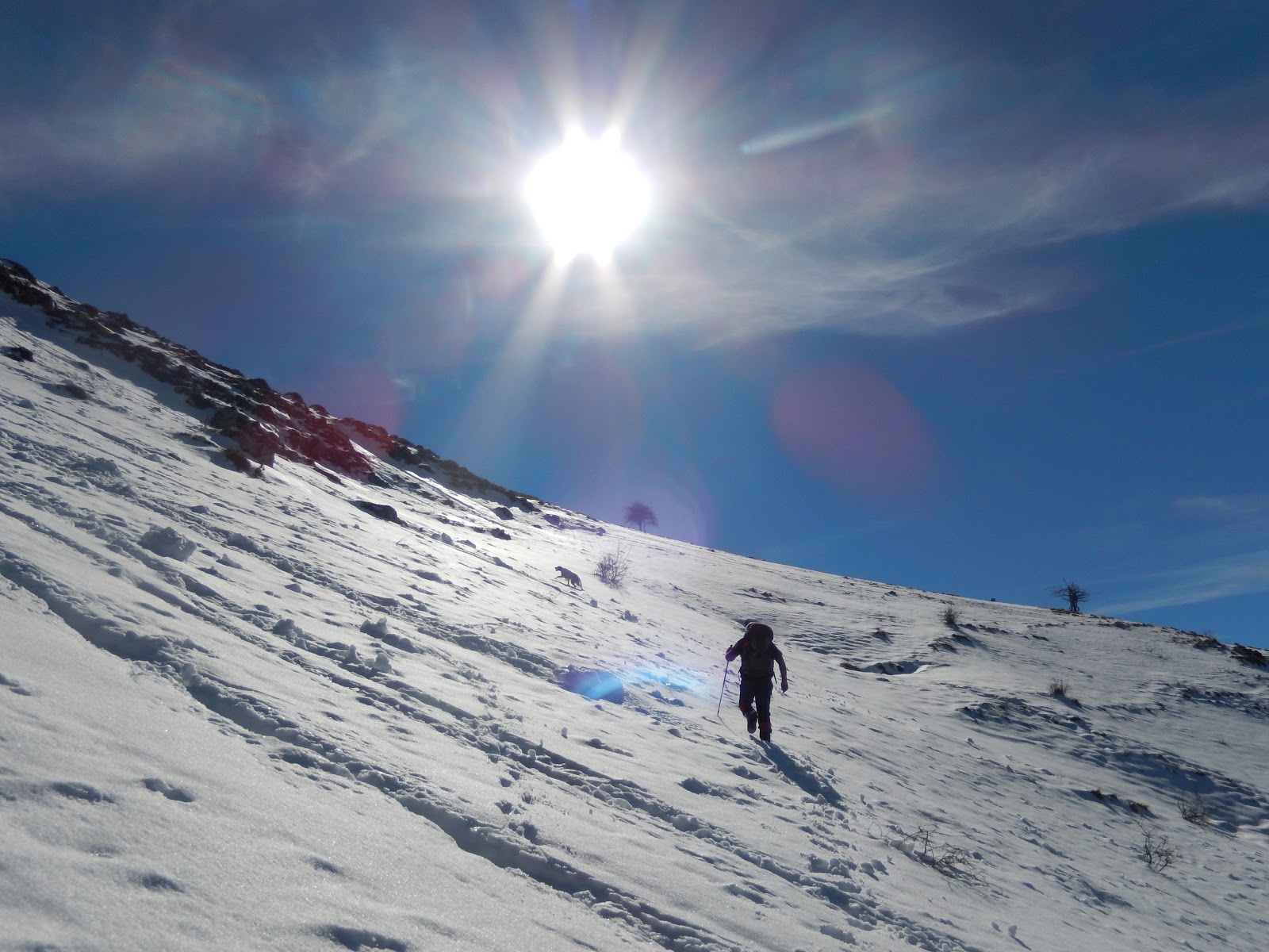 Camudando'l camín: Ponte Bidosa (Ponga) - H.ucantu