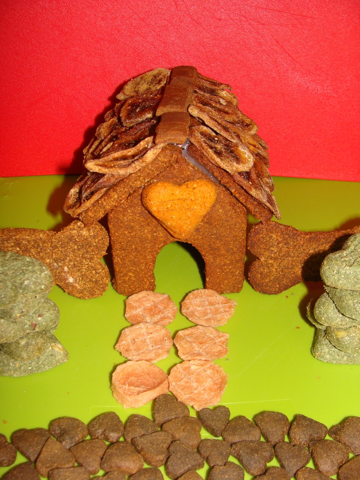 A Gingerbread House for Dogs - the DIY Pet