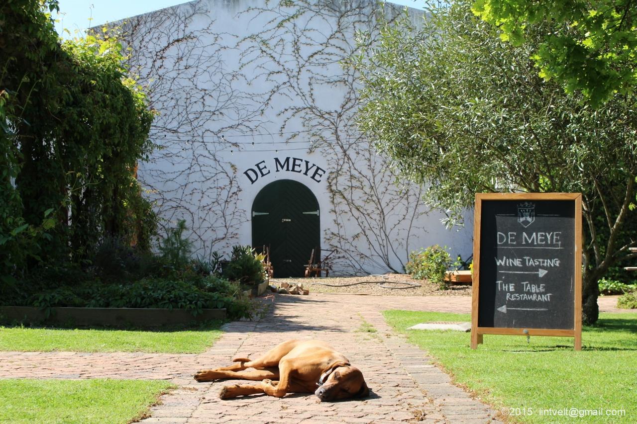 De Meye Wine Estate - WineTourismZA South Africa