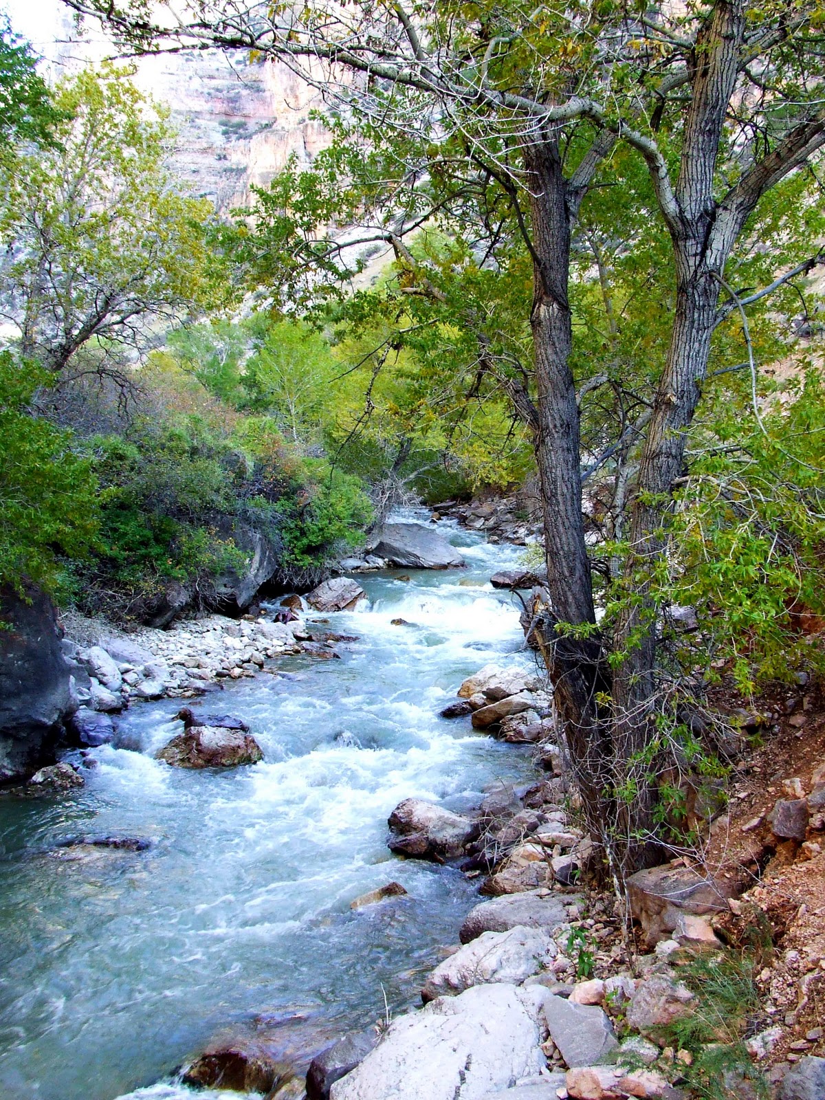 Somethin' Salvaged: Roadtrip October 2011 Part 3 Home Bound: Mount ...