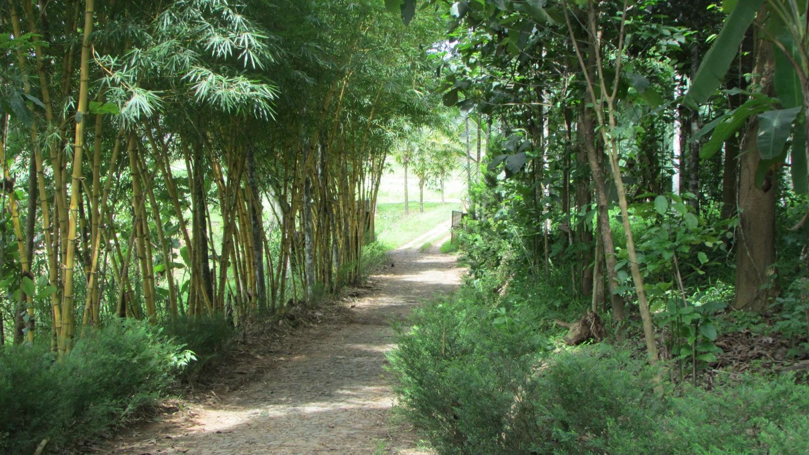 The Island of Wonders - Kuruvadweep or Kuruva Island