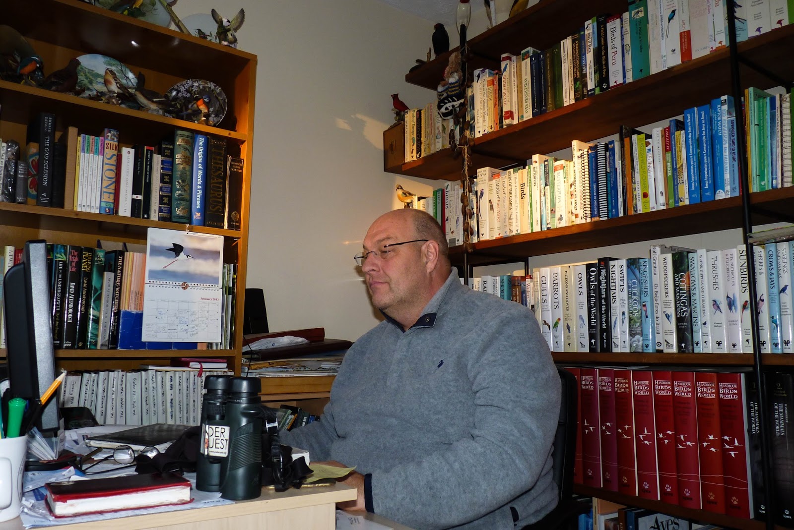 Rick Simpson Birding: My book is published at last!