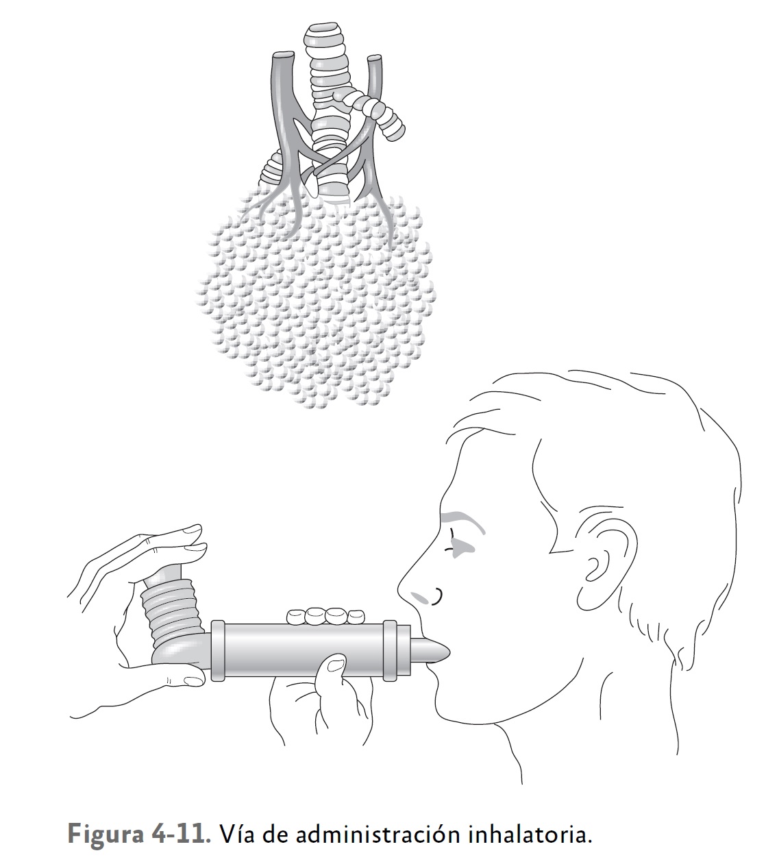 Teamwork Medical Nurse: VÍAS DE ADMINISTRACIÓN DE MEDICAMENTOS