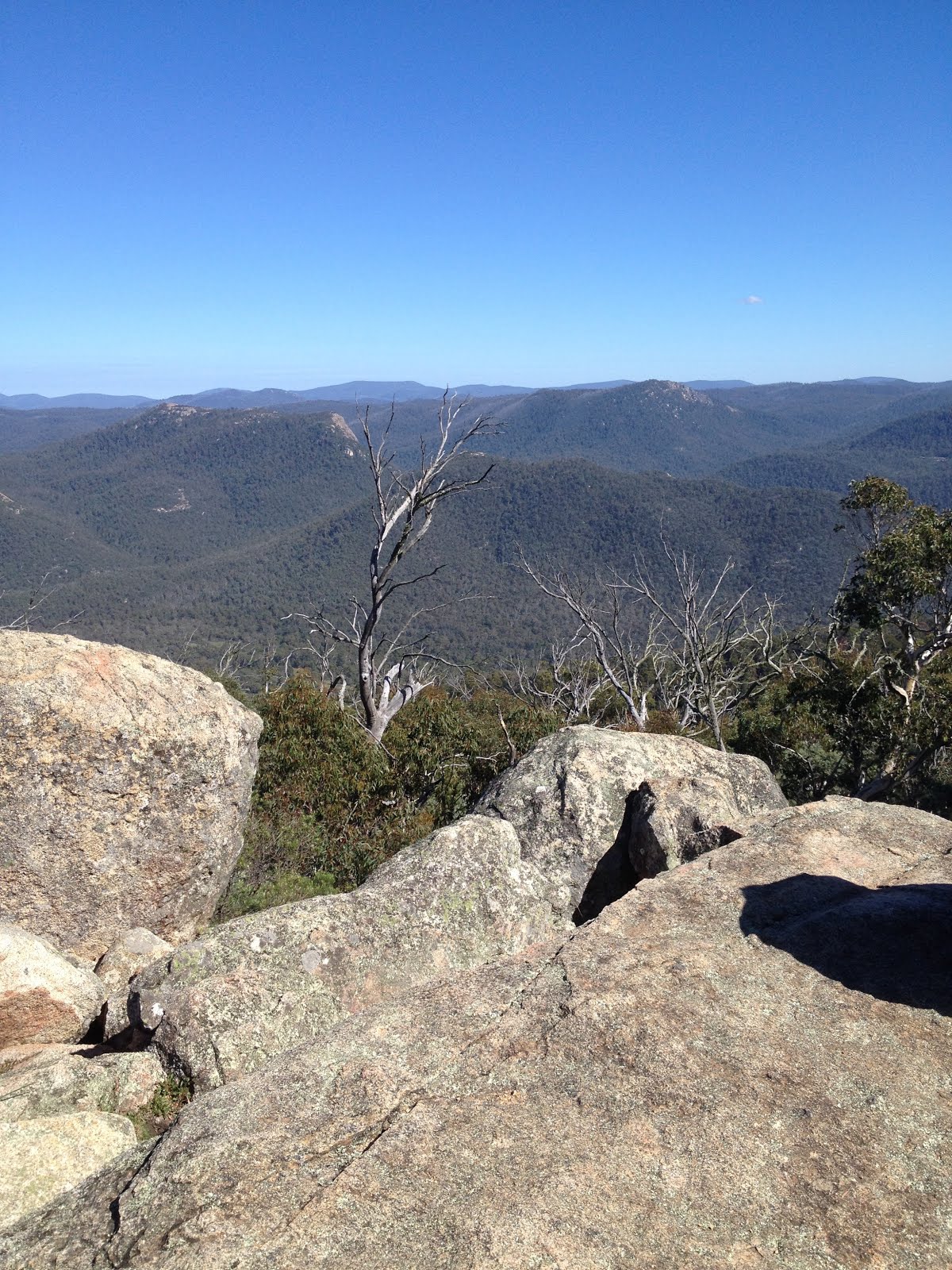 Phil's Bushwalking Blog: Namadgi National Park: Mount Tennent (2)