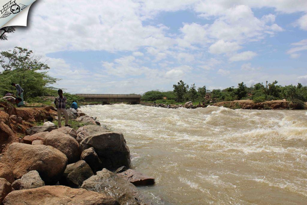 Basava Sagara (Narayanpur) Dam - 14/08/2016