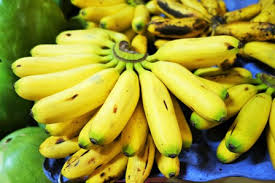 Pachamama Spectrum of Treasures: Exotic Fruits of Ecuador