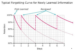 The Critic's Cave: The Forgetting Curve of Ebbinghaus