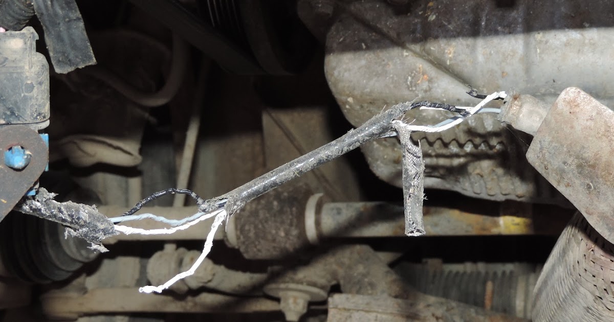 Travel with Kevin and Ruth: Another mouse problem!