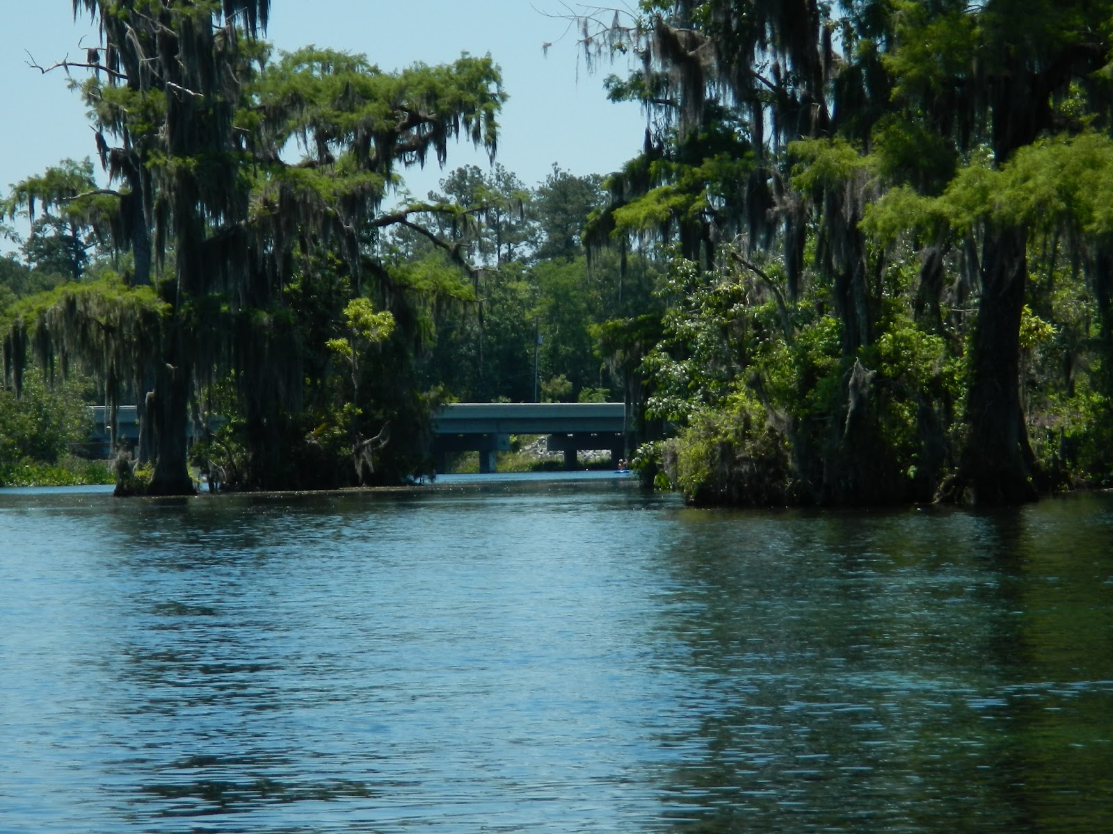 Florida - Coast to Coast to Coast: Kayaking on the Wakulla River
