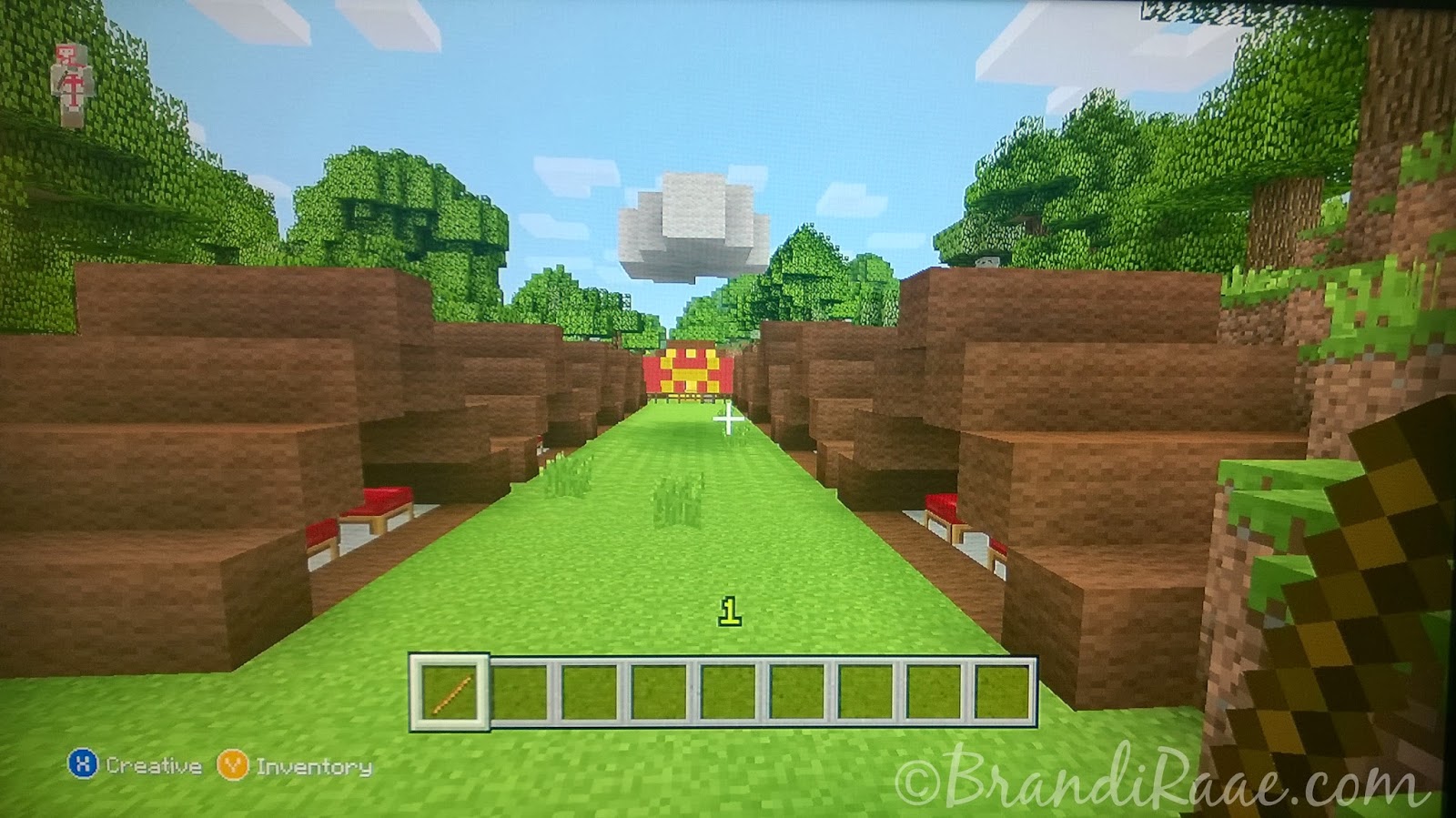 Brandi Raae: What This Mama Loves About Minecraft