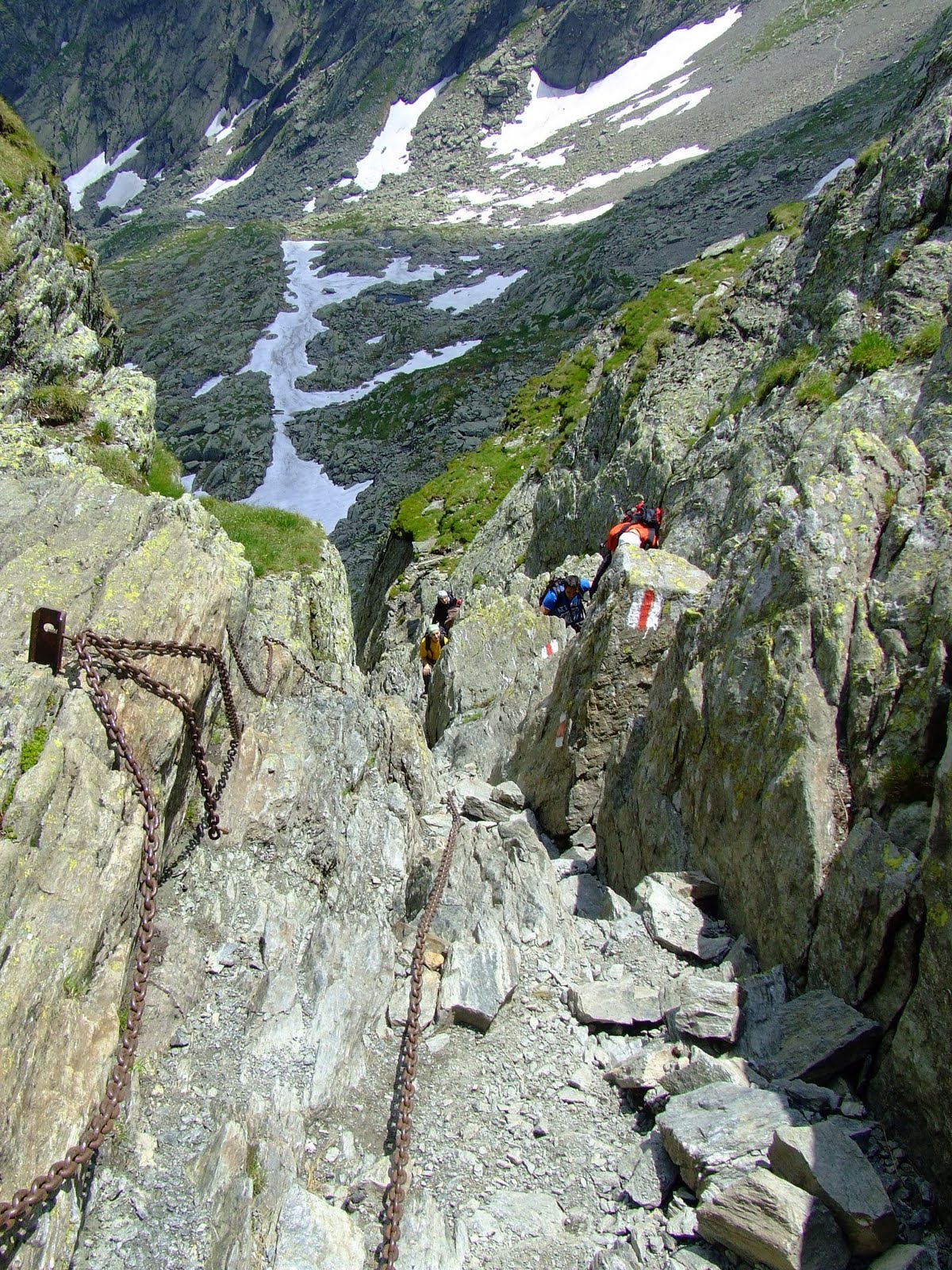 Vise pe poteci: Fagaras: Negoiu - Custura Saratii 8-10 iulie 2011