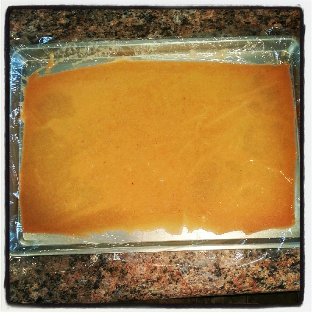 La Buena Vida: How to Make Fruit Leather