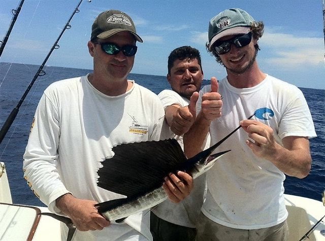 Seaborn: Ocean Sciences blogzine: Rare catch of a tiny sailfish is made ...