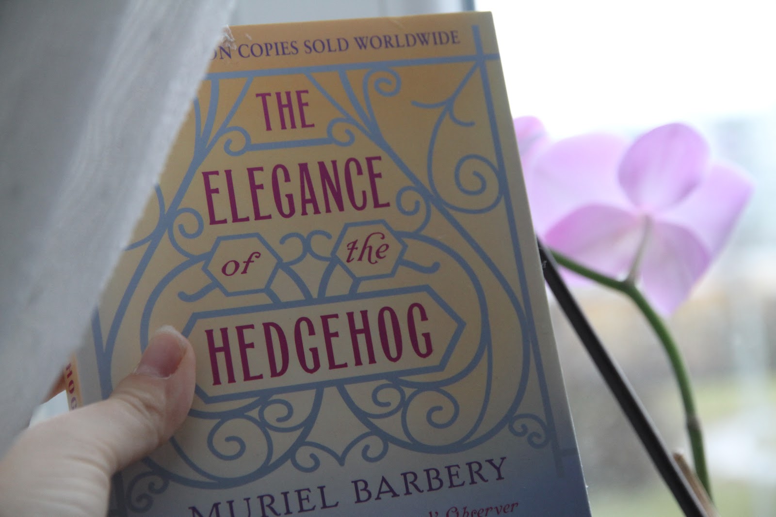 The Elegance of The Hedgehog ~ Klářiny knihy