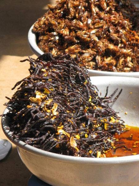 Labah-Labah Tarantula Merupakan Makanan Kegemaran di Kemboja