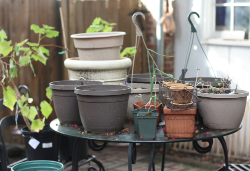 I Heard It Through The Grapevine... | 17 Apart