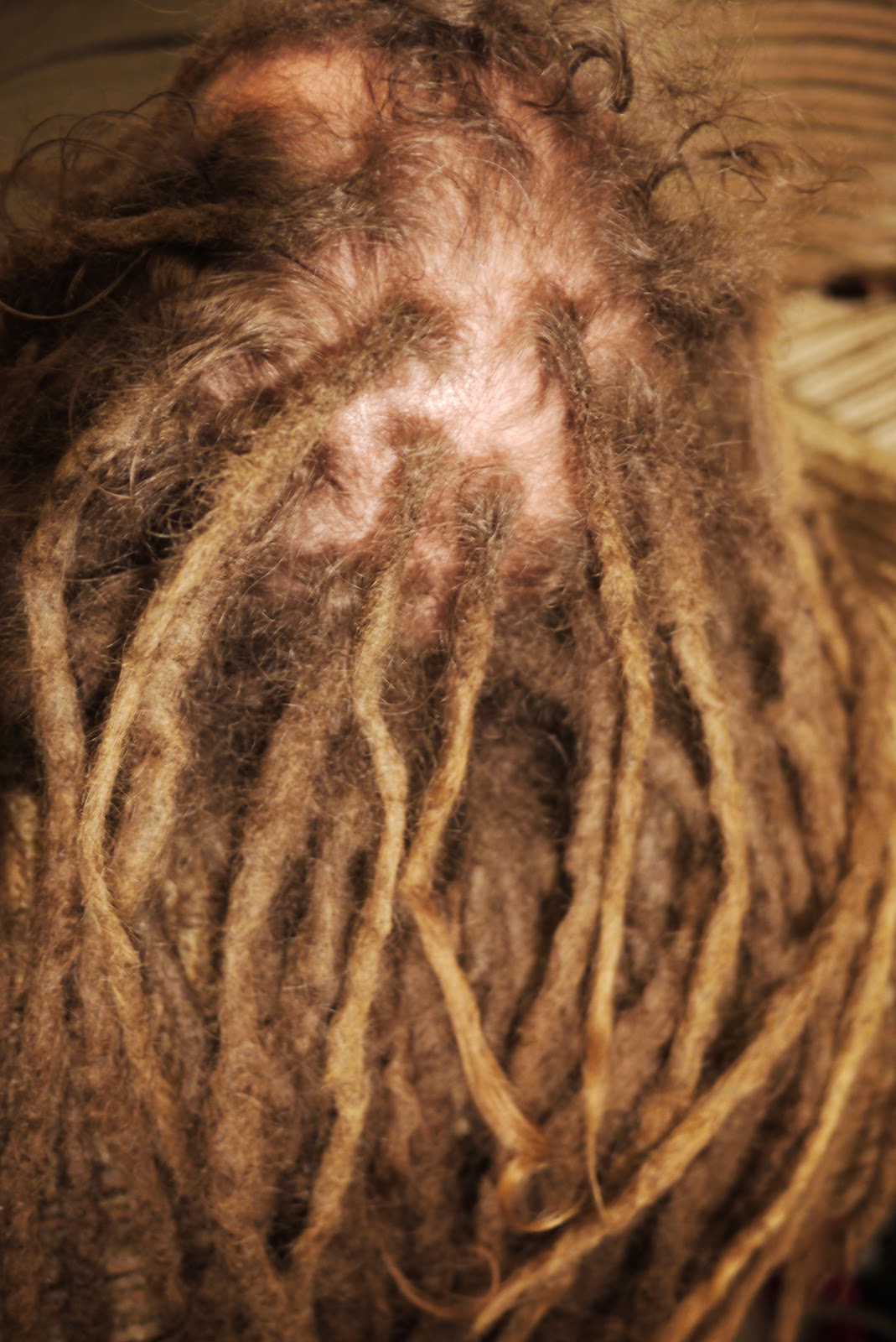 locksworks: Cutting and Maintenance of 6 year old dreads