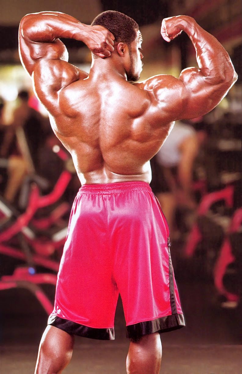 the beauty of male muscle: Brandon