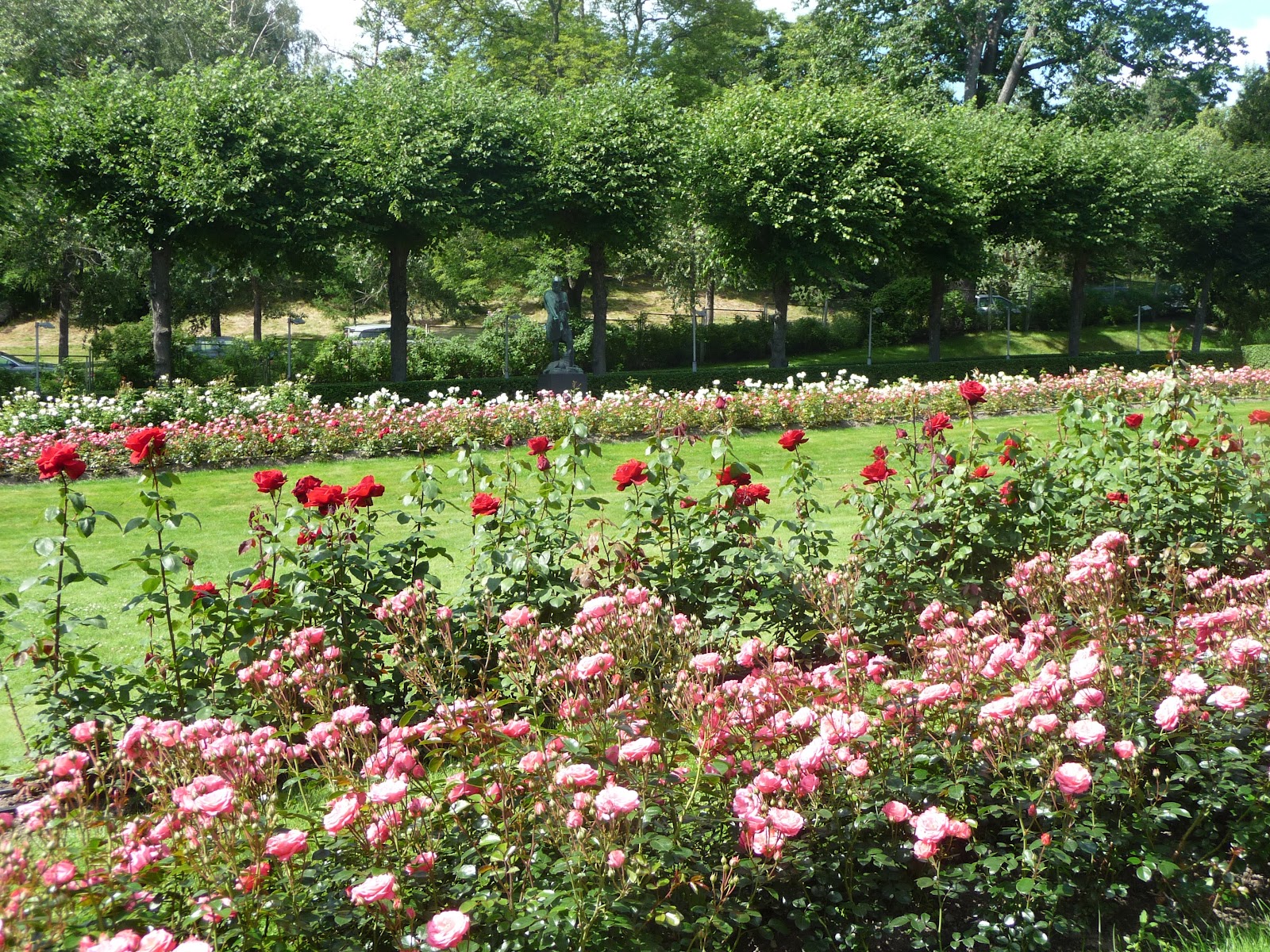 Simple Pleasures: Roses Are Red - And Pink, And Yellow, And White, And