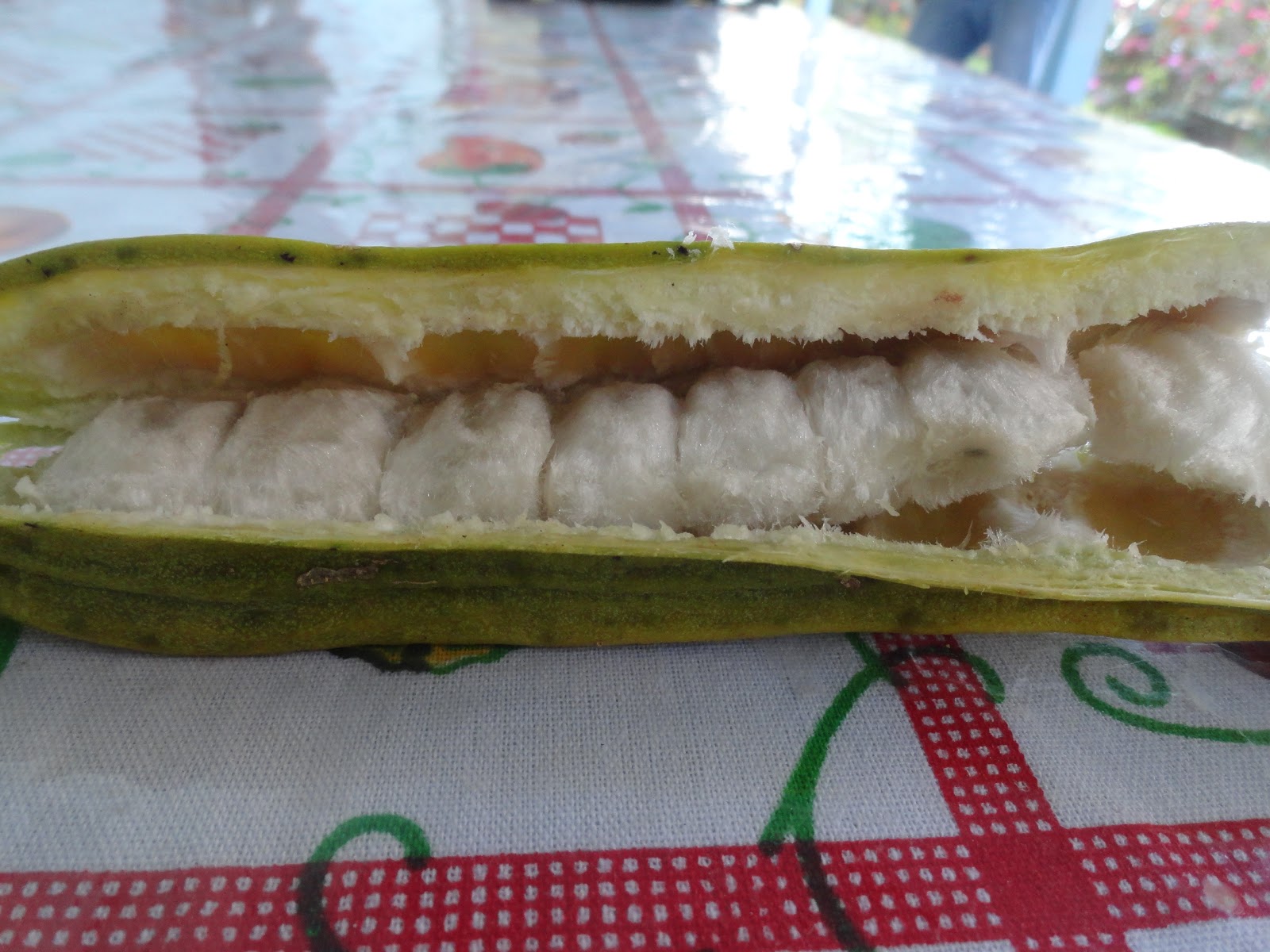 Libertad, San Jose, Uruguay LLegue!!!!!: Entrando a Guatemala y Sayaxche