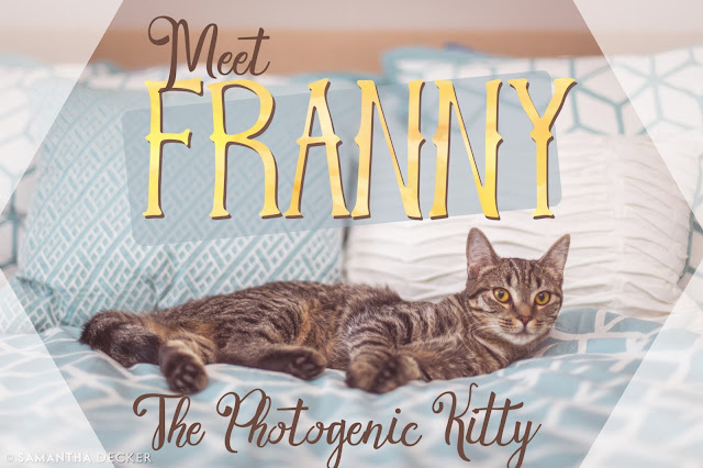 Meet Franny! - Photography by Samantha Decker