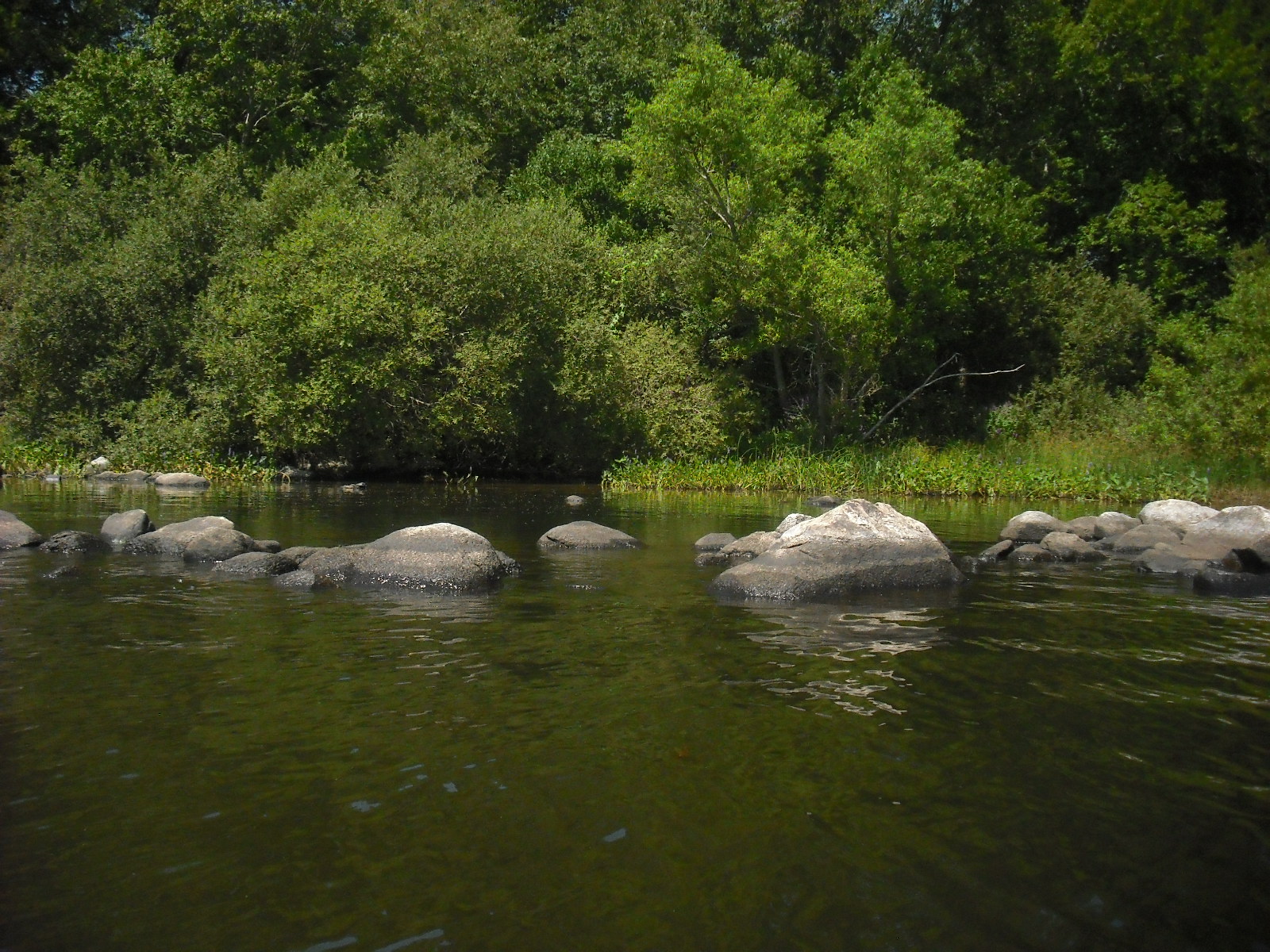 Secret Landscapes: Stone Rows of South Watuppa Pond, West Shore