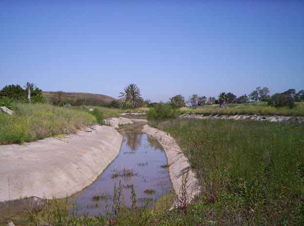 Modern Day Ruins: Lion Country Safari: Irvine, California