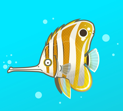 Andrew Dawson Animation and Illustration: Tropical Fish.
