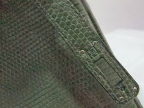 rumahnakha: HERMES LIZARD | MIRROR IMAGE