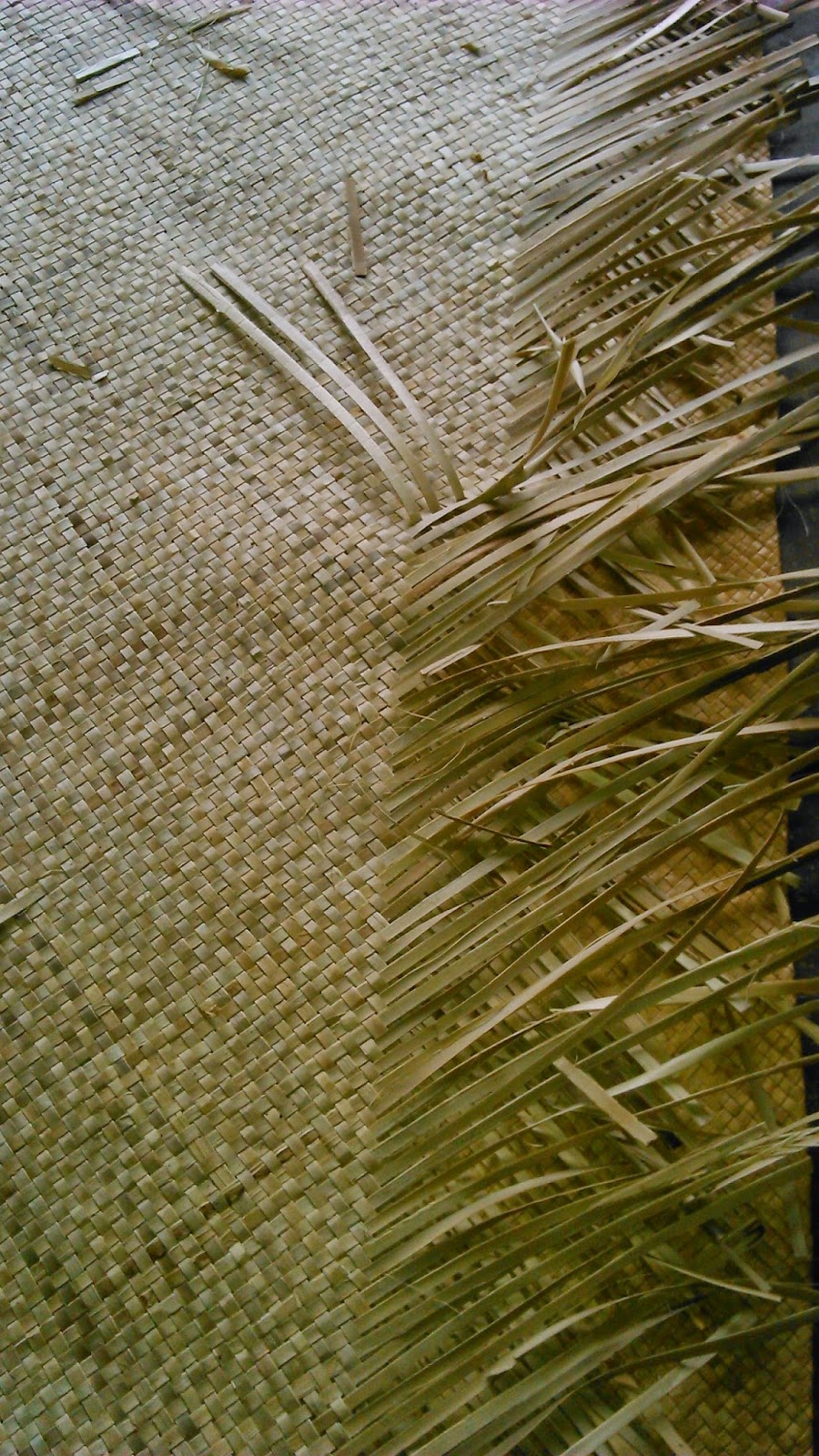 Jom Buat Sendiri.: asal pokok mengkuang dan tikar mengkuang