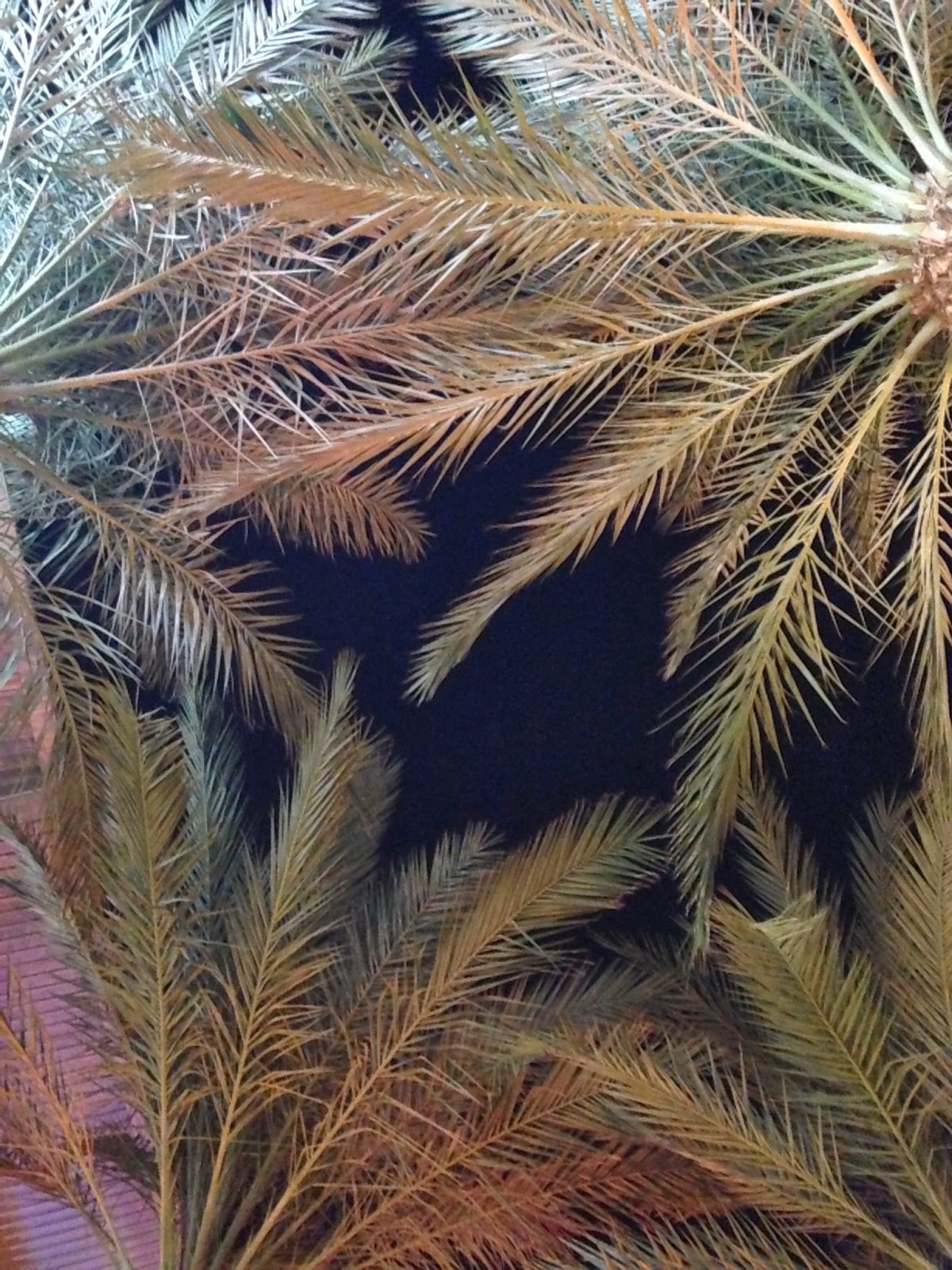 All These Bright Things