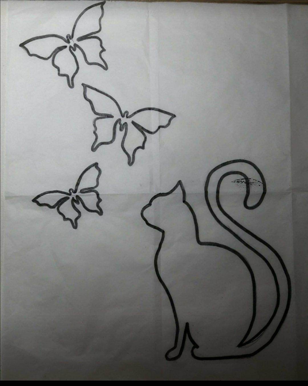 Risco gato e borboletas