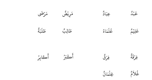 Aqsaamul jam'i-Macam-macam isim jamak - Kitab Tashiilun Nahwi ...