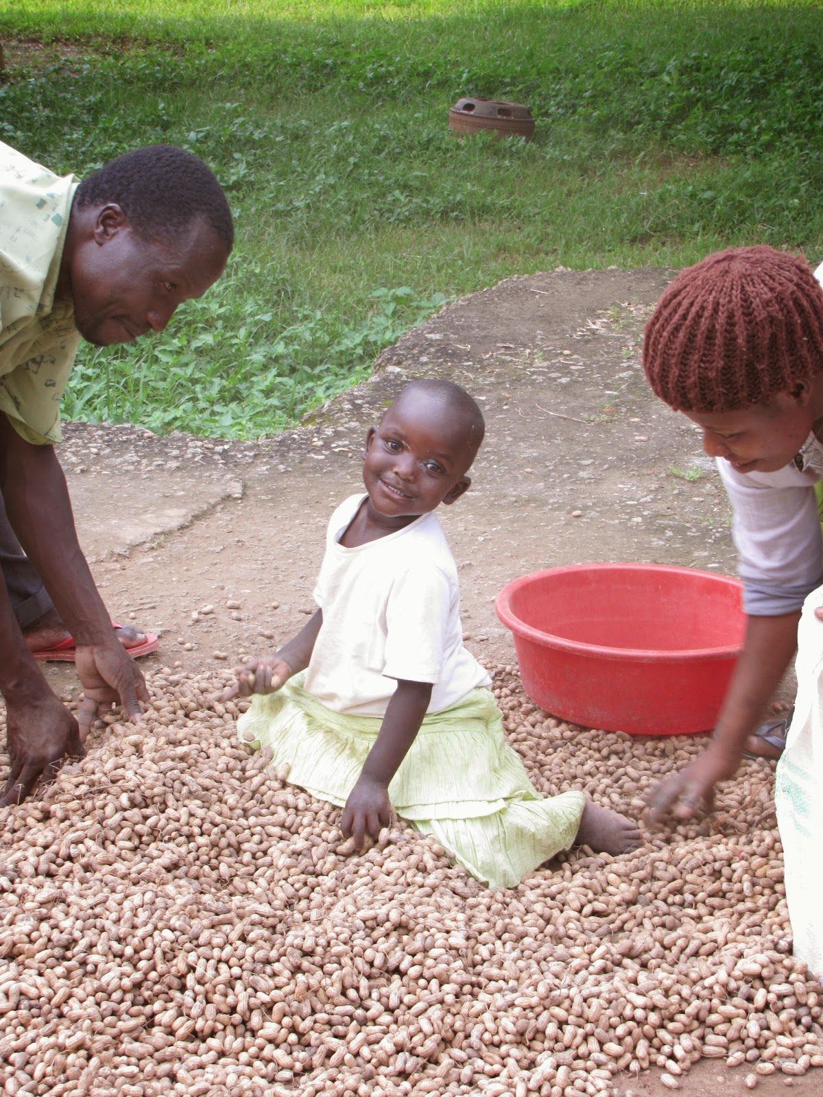 East Africa Chronicles: Useful Phrases in Ateso: Revised and Expanded