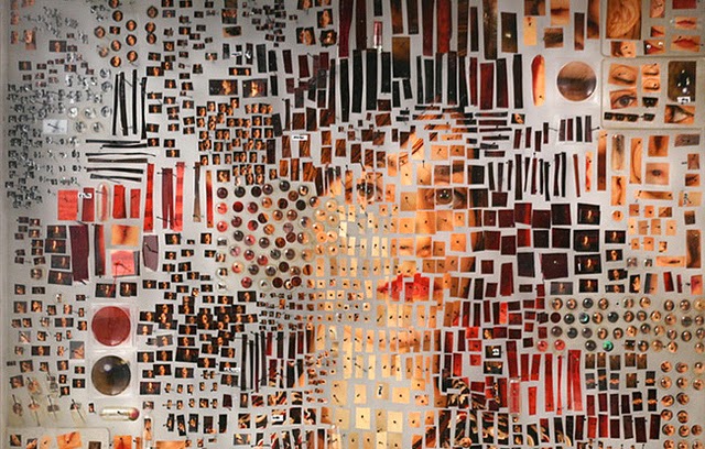 the art room plant: Michael Mapes