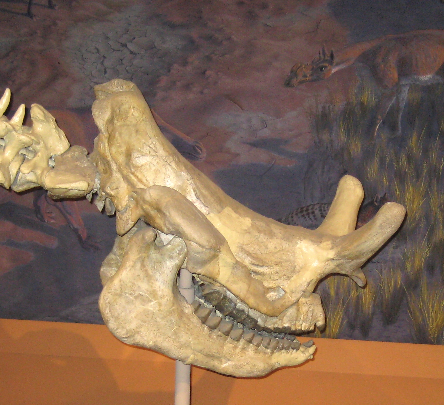 Fossils and Other Living Things: Waiting in the Wings for a Long Time