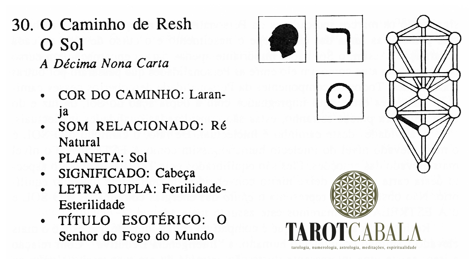 TAROTCABALA: Vive Le Soleil / O SOL / arcano 19