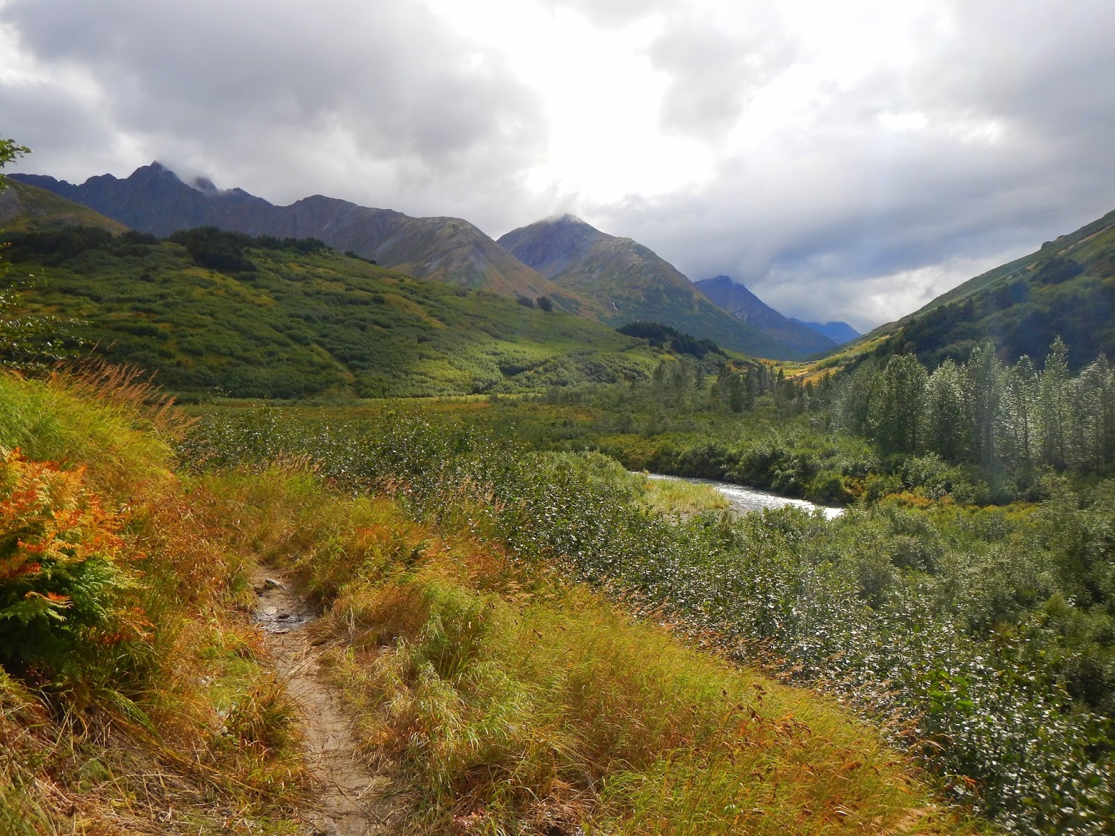 Mountain memories: Johnson Pass MTB - 9.8.2013