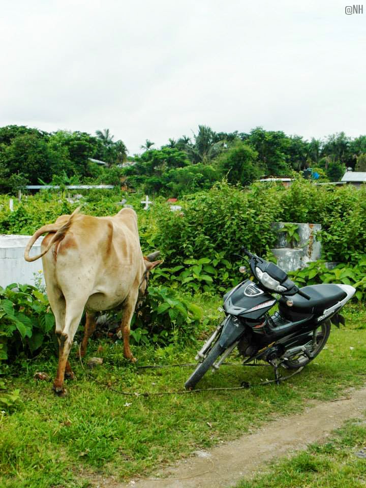 ViewFromAbove: Trip to Myanmar ----- Yangon, Kalaymyo & Chin State ...