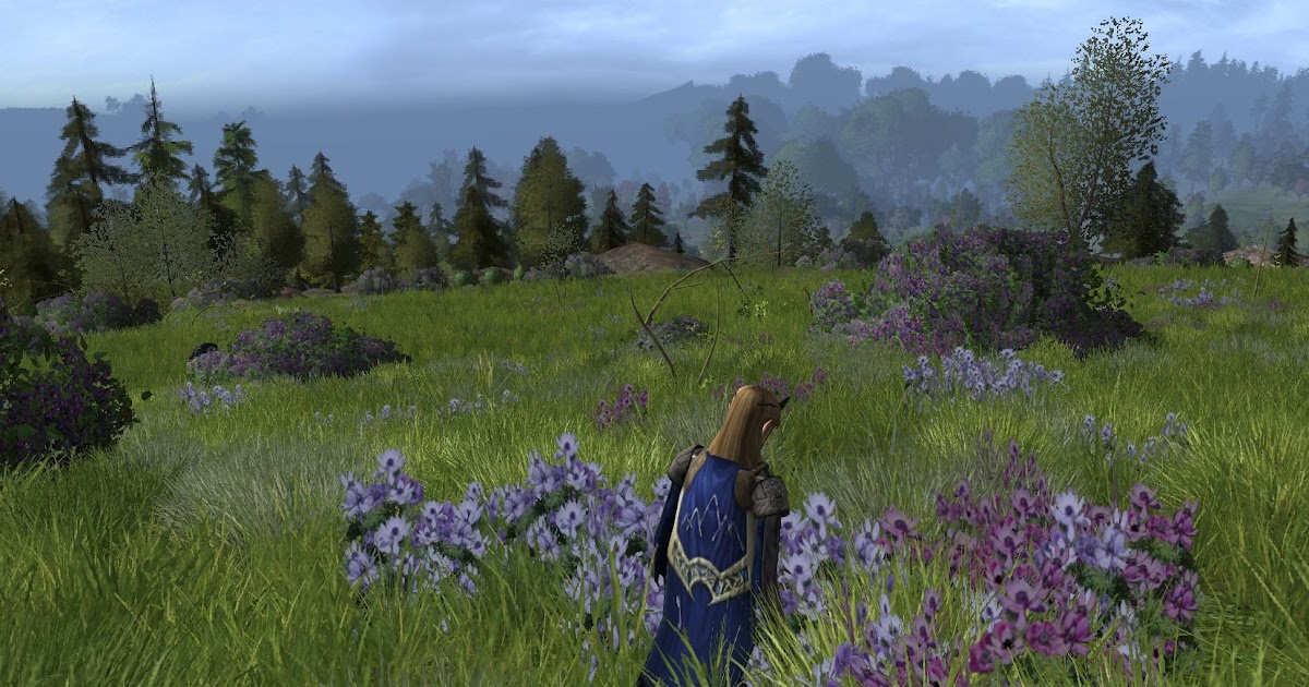 Ravalation: Picking flowers to gain best in slot equipment: how LOTRO ...