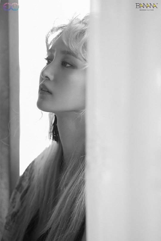 EXID Y Su Nuevo Album "Eclipse"