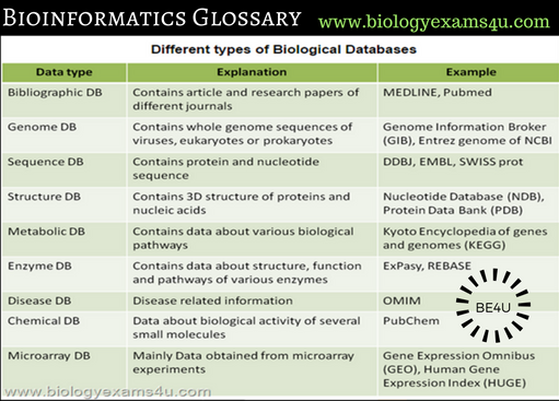 Glossary of Bioinformatics Terms - BLAST BLOSUM E value KEGG FASTA ...