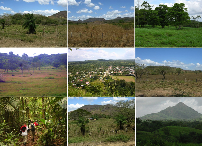 NephiCode: July 2012