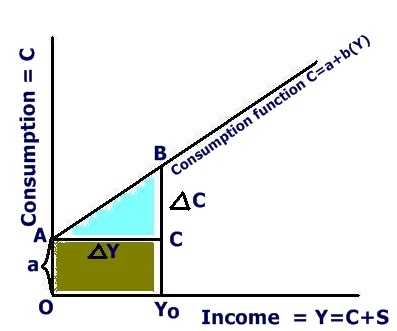 Courage to Know: Consumption Function and Savings Function