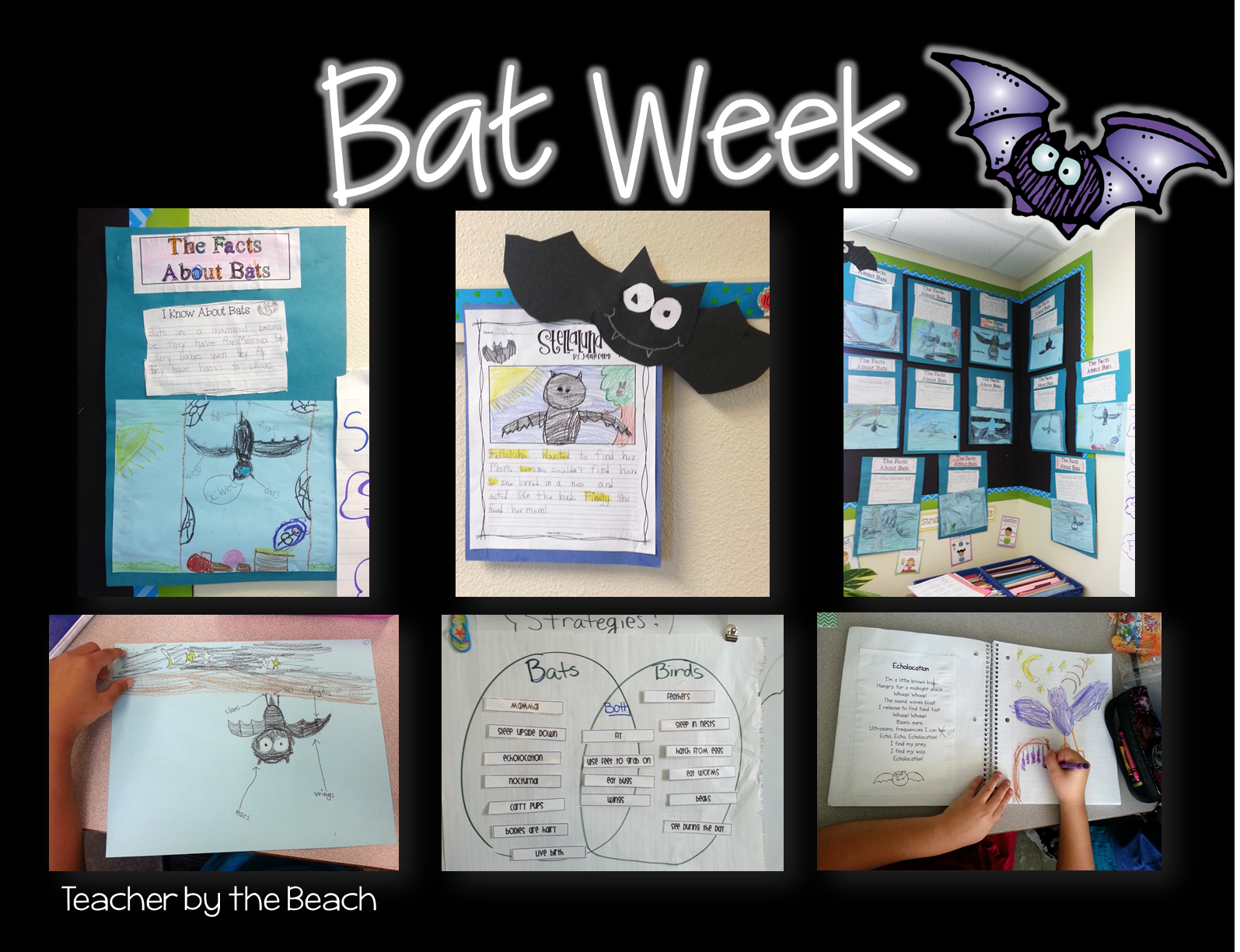 Bat Week: Reading, Writing, and Poetry - freebies included! | The ...
